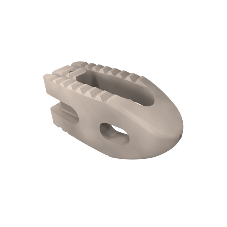 Octane™ Straight - ChoiceSpine IFU